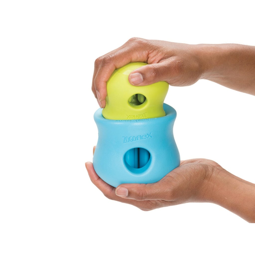 Toppl - The Dog Company