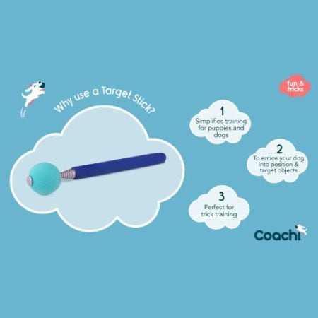 Targetstick voor clickertraining - Webshop The Dog Company