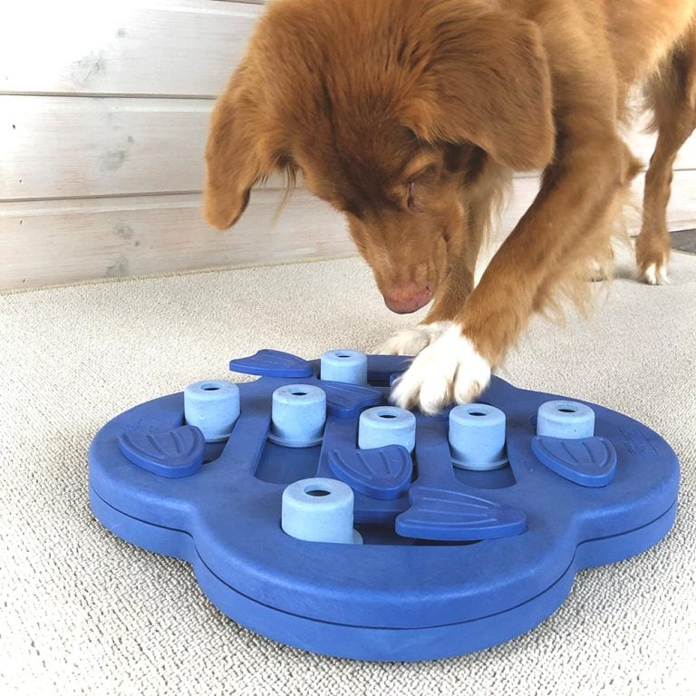 Dog Hide N' Slide hondenpuzzel - The Dog Company