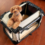 Zachte vouwbench Maelson - The Dog Company