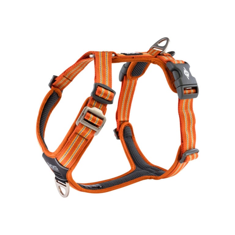 Een tuig voor mijn pup? - The Dog Company