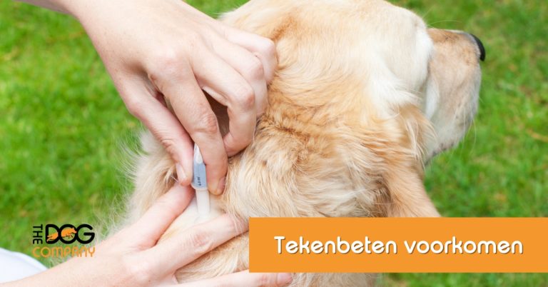 Het voorkomen van tekenbeten: 4 extra tips - The Dog Company