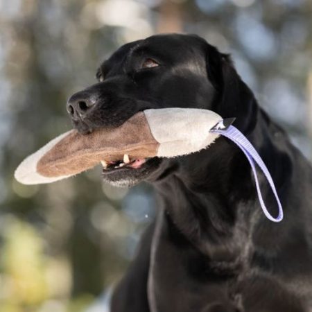 Fauxtastic Powerball Bungee - The Dog Company